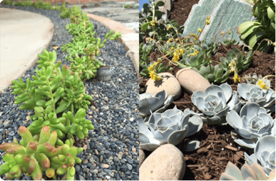 Table 2 Garden Offers Landscape Services in Santa Ana, CA